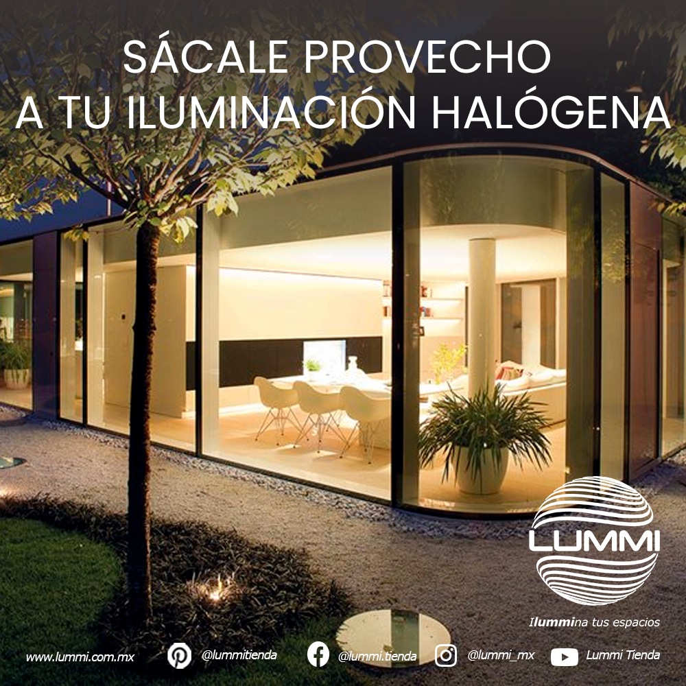 Sácale provecho a tu iluminación halógena – Lummi